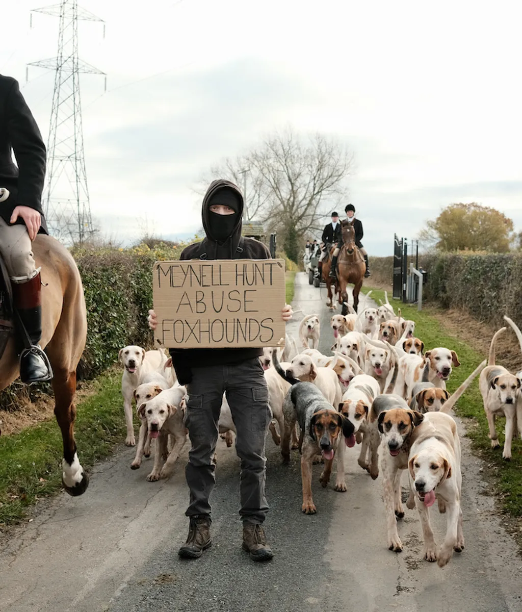 The zine documenting fox hunt sabotage in Northern England - The Face