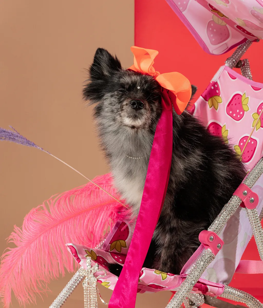 Collina Strada, the environment’s biggest fashion champ - The Face