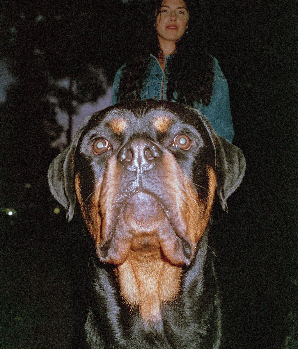 Scary Dog Privilege: meet the hounds empowering and… - The Face