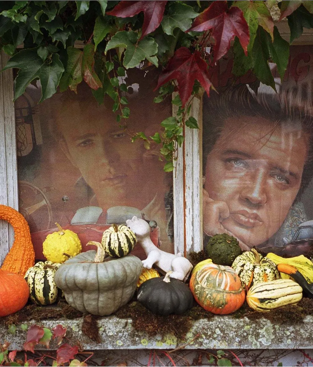 The intimate, quiet glamour of Walter Pfeiffer’s… - The Face