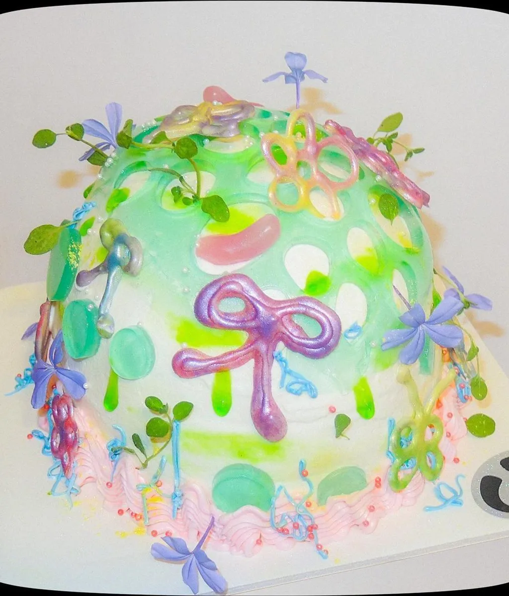 Cakes are getting experimental, ugly and chaotic. Why? - The Face